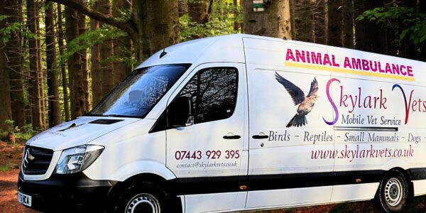 Mobile vet service & home visits - Skylark Vets